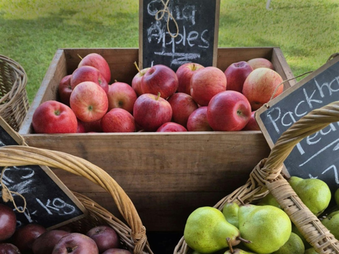 Bellingen Farmers Market Visit Bellingen Shire